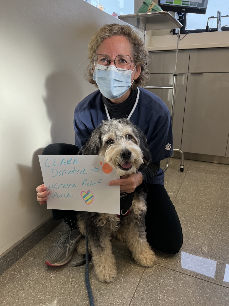 Join AMC in contributing to Ukraine's Relief Fund - Animal Medical ...