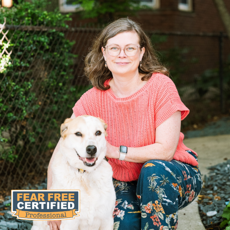 Animal Medical Center of Chicago Team of Experts