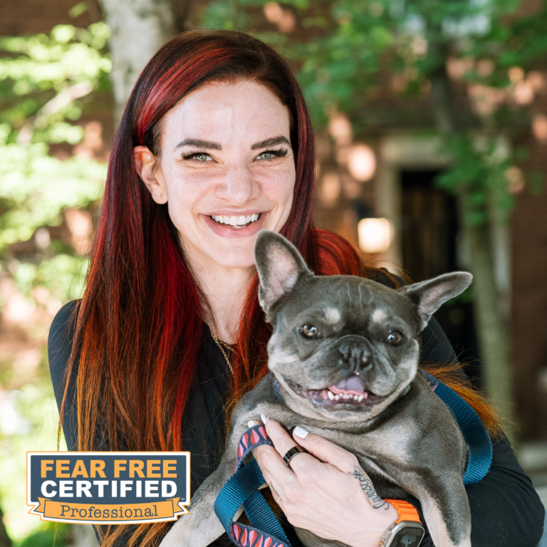 Animal Medical Center of Chicago Team of Experts